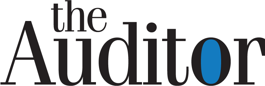 The Auditor improves profitability